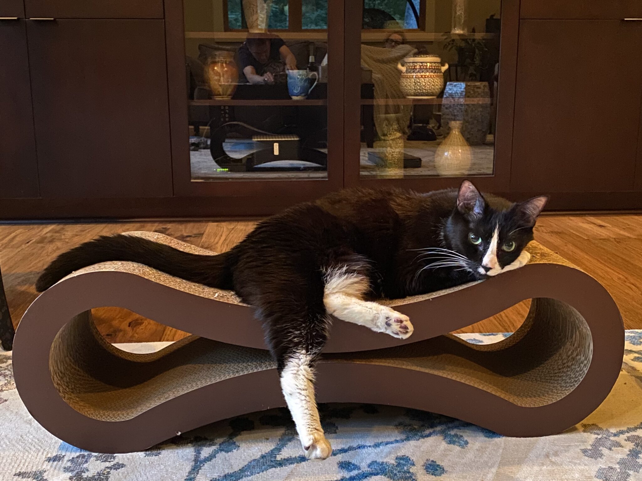 Thursday Cat Blogging | ok-cleek